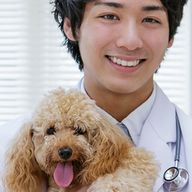 My Dog's Health | PEDIGREE MY