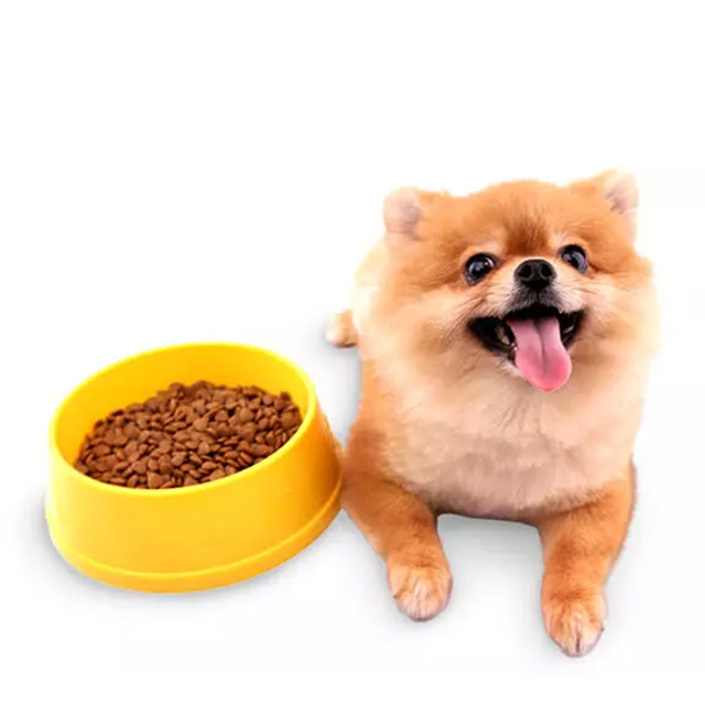 Wet Dog Food Benefits | Pedigree®
