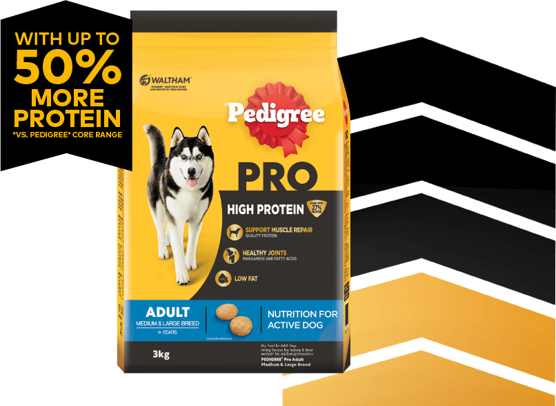 Adult Medium & Large Breed | PEDIGREE MY