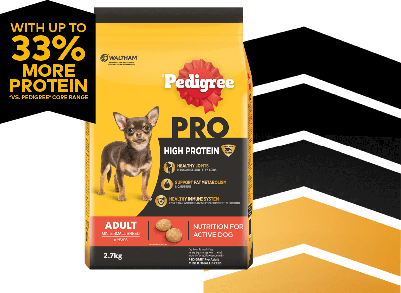 PEDIGREE® Pro: Adult Mini & Small Dog Breed | PEDIGREE MY