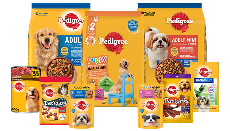 PEDIGREE® Puppy Food: 9 Puppy Foods To Nourish Your Puppy - Pedigree ...
